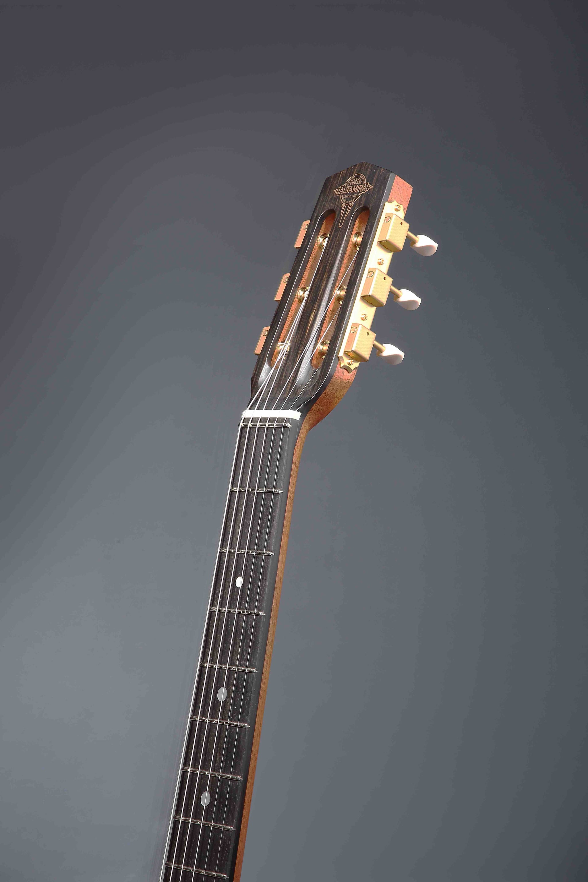 M – Altamira Guitars