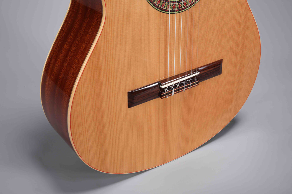 N100 – Altamira Guitars