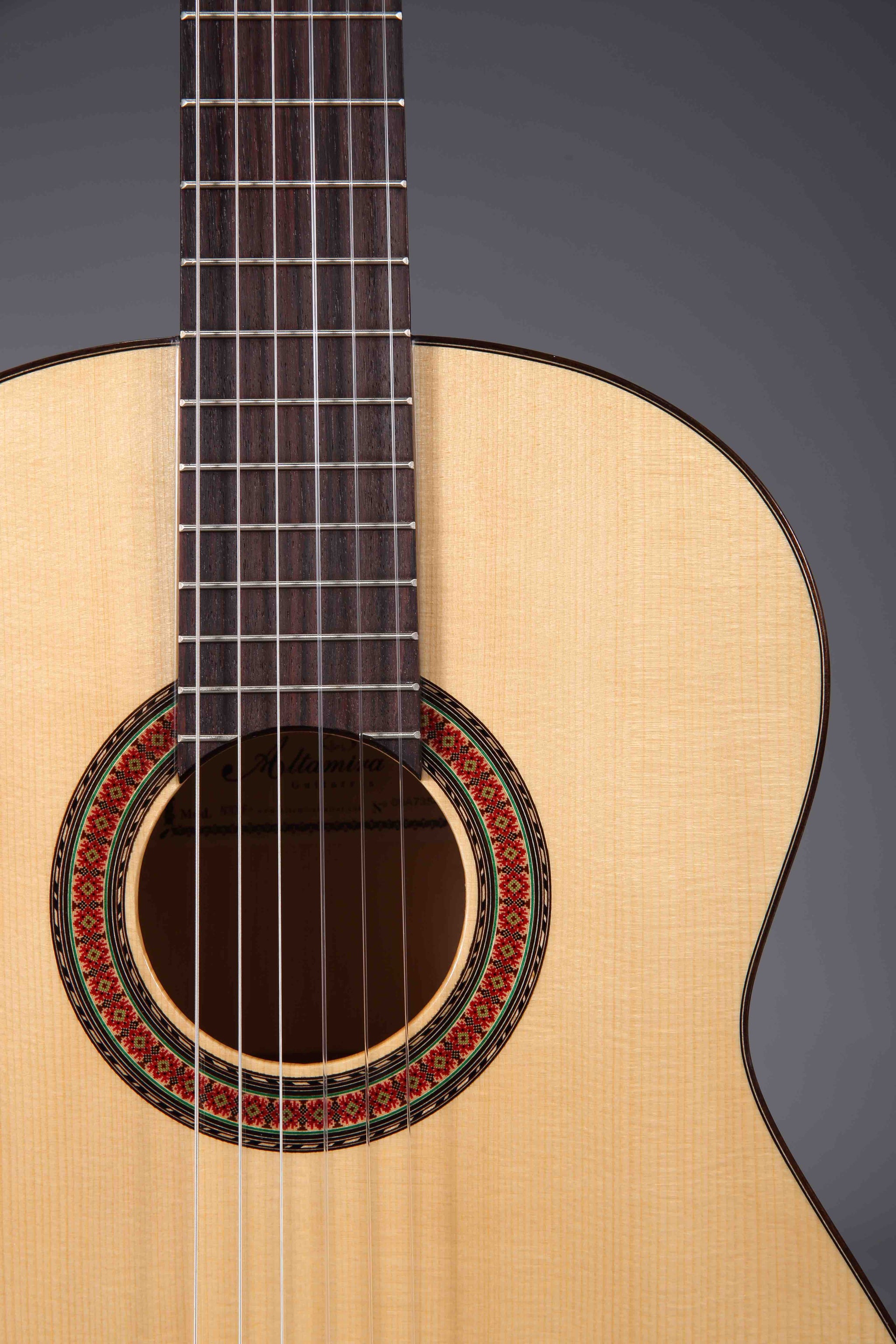 N300F – Altamira Guitars