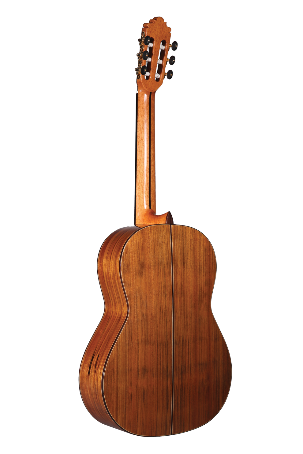 N500 – Altamira Guitars