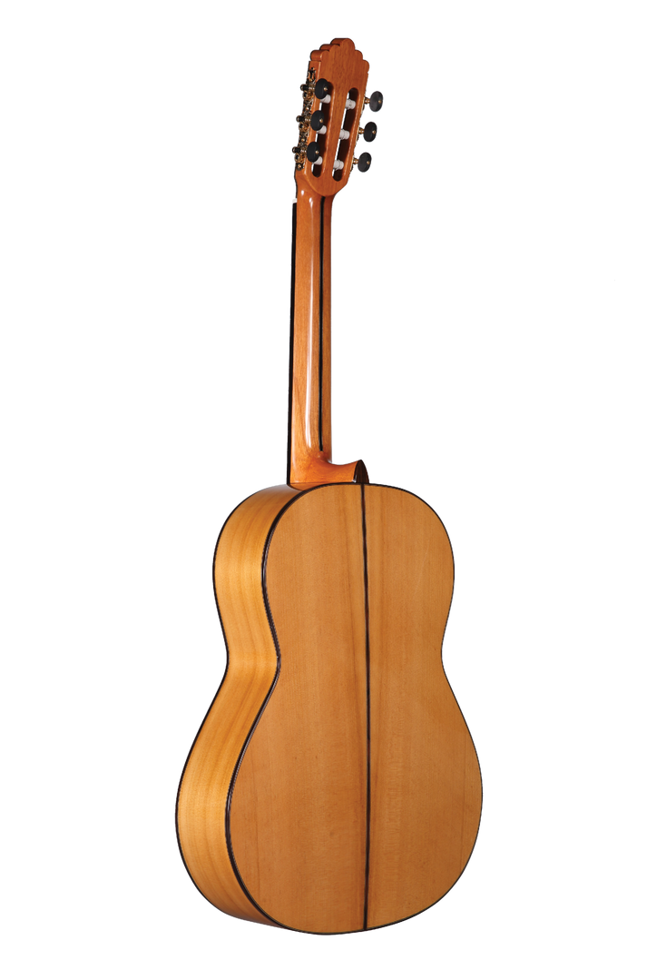 N700F – Altamira Guitars